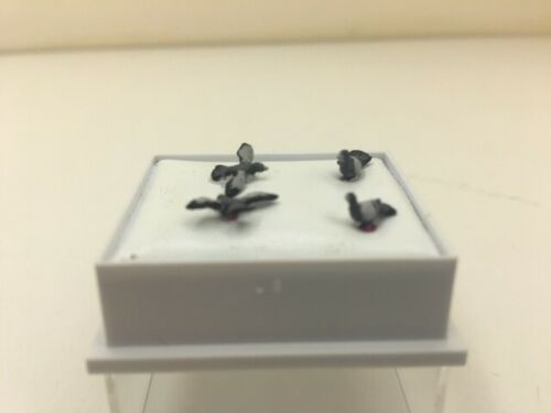 PIGEONS x 4 SUPER DETAIL OO SCALE – Penduke Models & Scenics - Model ...